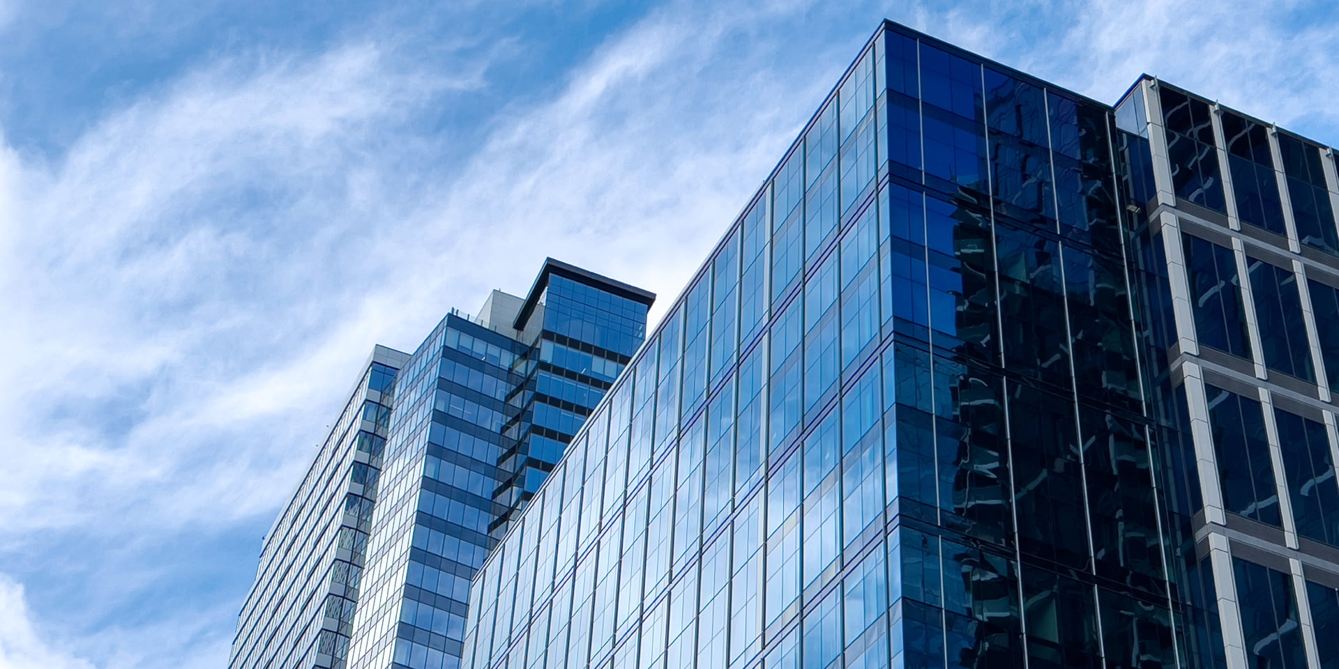 Mastering the Essentials: Navigating the World of Companies Limited by ...