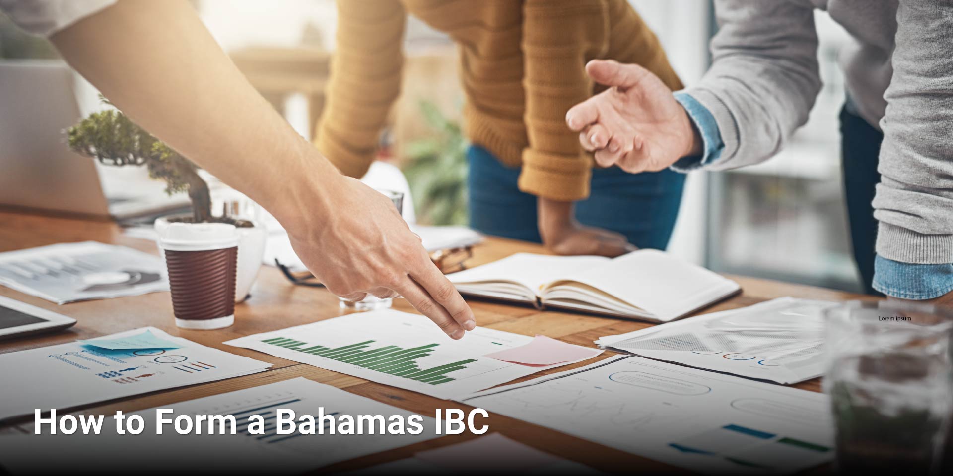 How to Form a Bahamas IBC: Requirements and Tax Benefits