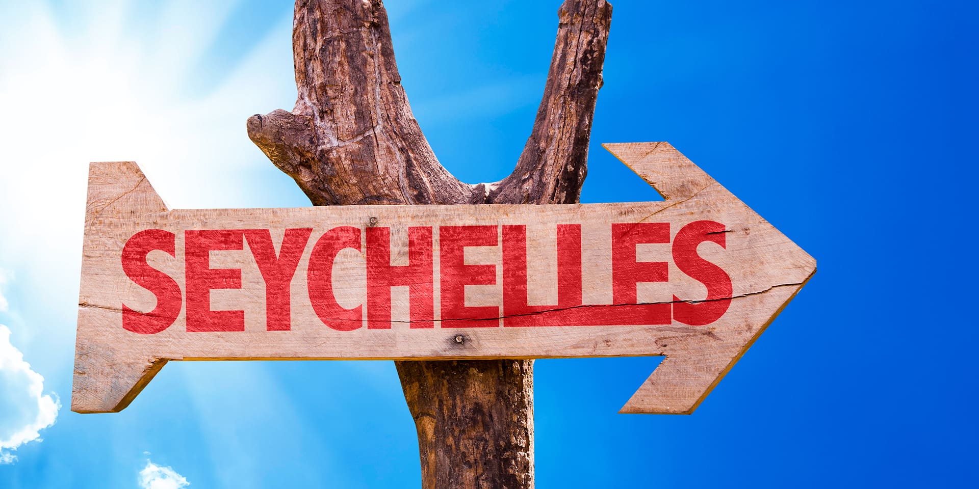 Seychelles Business Registration and Company Setup Process